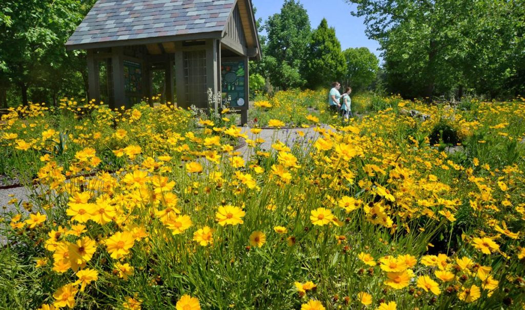 Rich Learning Experience: Arboretum’s Native Pollinator Garden ...
